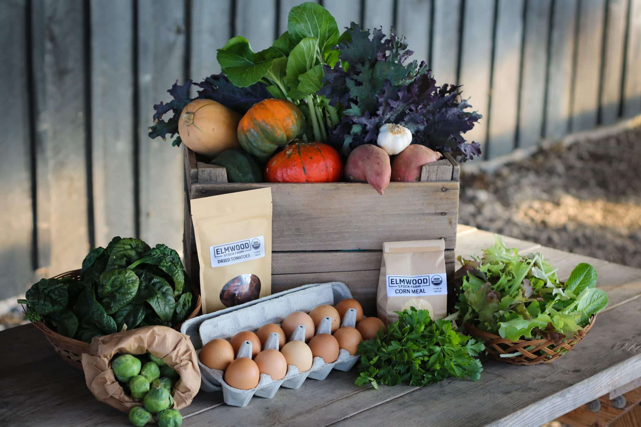 Blog – Elmwood Stock Farm